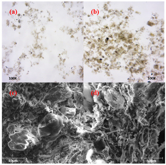 Study on the Efficiency of On-Site Sludge Reduction Using Ti/SnO2-Sb ...