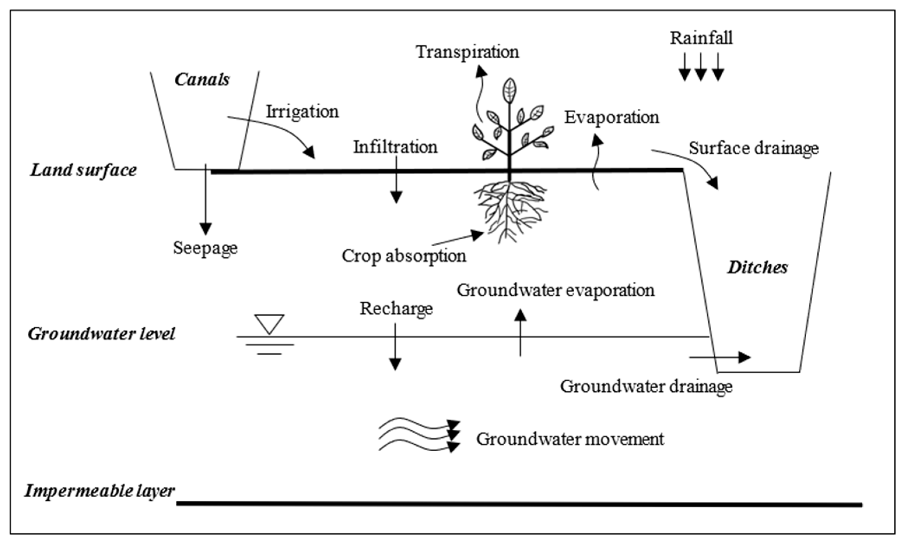 A Novel Physically Based Distributed Model for Irrigation Districts’ Water Movement