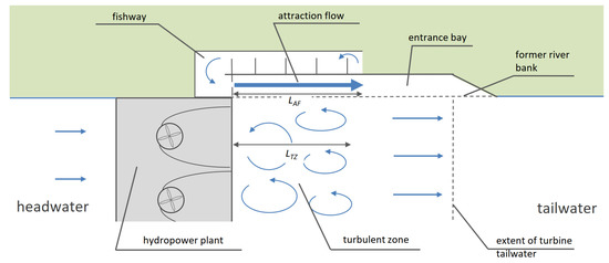 A Parametric Approach for Determining Fishway Attraction Flow at ...