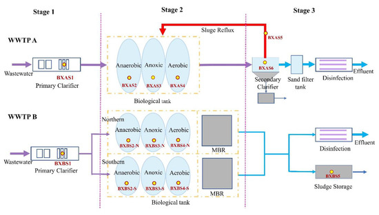 Community Composition and Function of Bacteria in Activated Sludge of ...