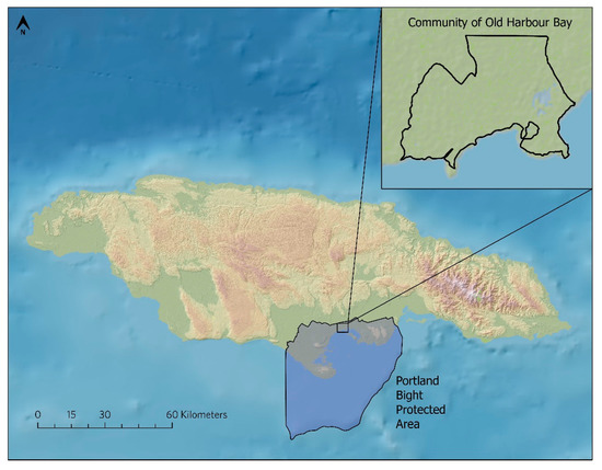 Shoreline Solutions: Guiding Efficient Data Selection for Coastal Risk ...