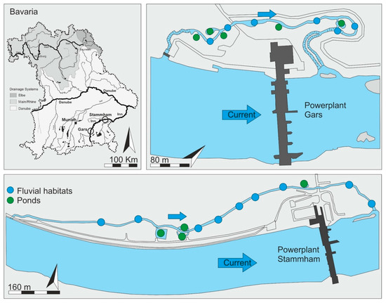 Integration of Constructed Floodplain Ponds into Nature-Like Fish ...