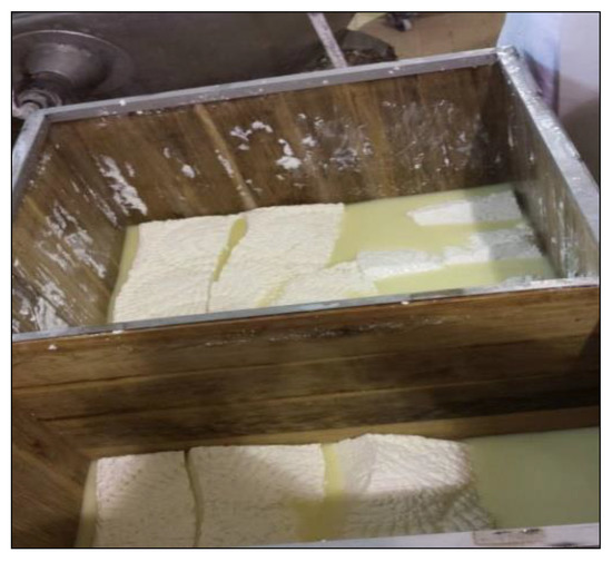 Treatment of Combined Dairy and Domestic Wastewater with Constructed ...