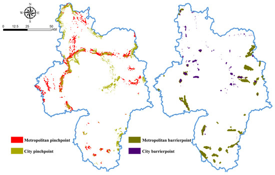 Construction of Ecological Network Based on Multi-Scale Conversion and ...