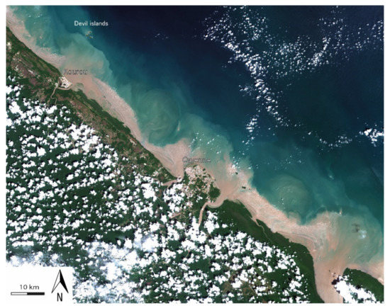 Sustainable Management, Conservation, and Restoration of the Amazon ...