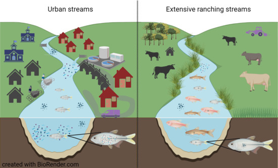 Water | Special Issue : Impacts of Human Activities and Climate Change ...