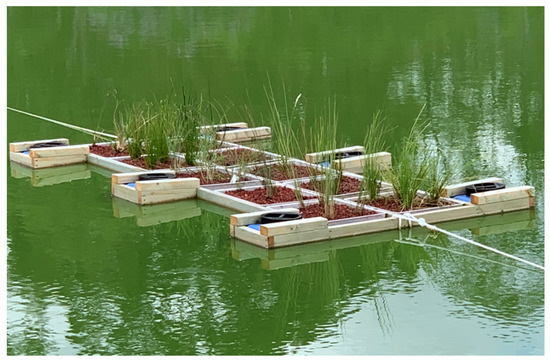 Using Constructed Floating Wetlands to Remove Nutrients from a Waste ...