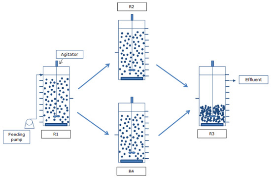 Water | Free Full-Text | New Advances in Aerobic Granular Sludge ...