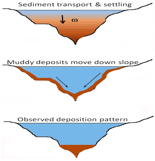 3D Numerical Simulation of Gravity-Driven Motion of Fine-Grained ...