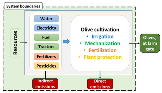 LCA-Based Environmental Performance of Olive Cultivation in ...