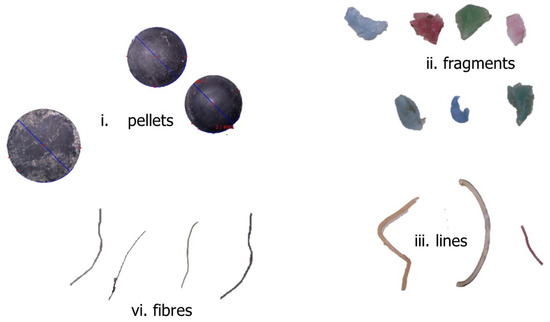 A Handy Open-Source Application Based on Computer Vision and Machine ...