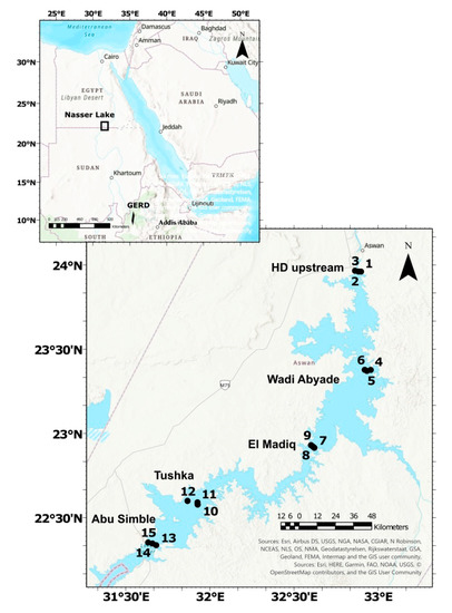 Lake Nasser Africa Map