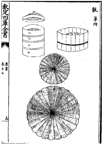 Desalination: From Ancient to Present and Future