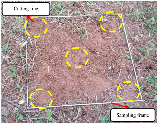Effects of Soil Bulk Density and Moisture Content on the Physico ...