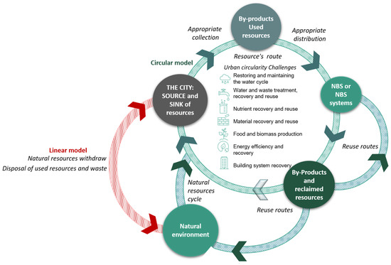 A Framework for Addressing Circularity Challenges in Cities with Nature ...