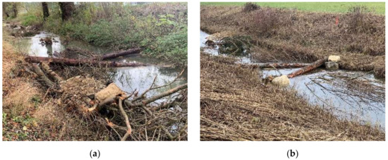 Engineered Large Wood Structures in Stream Restoration Projects in ...
