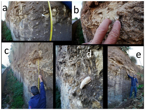 New Evidence of MIS 3 Relative Sea Level Changes from the Messina ...