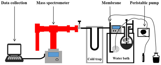 Improved Membrane Inlet Mass Spectrometer Method for Measuring ...