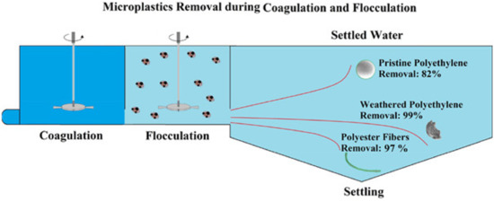 Water | Free Full-Text | Review of Microplastic Distribution, Toxicity ...