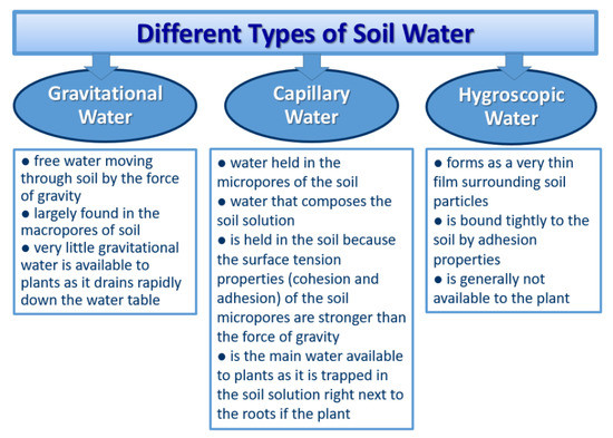 Water, Soil, and Plants Interactions in a Threatened Environment