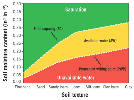 Water, Soil, and Plants Interactions in a Threatened Environment