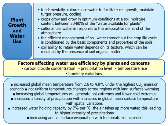 Water | Free Full-Text | Water, Soil, and Plants Interactions in a ...