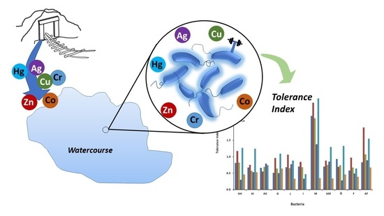 Water | Free Full-Text | Evidence of Resistance of Heavy Metals from ...