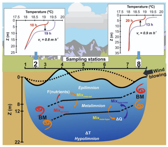Vertical Boundary Mixing Events during Stratification Govern Heat and ...