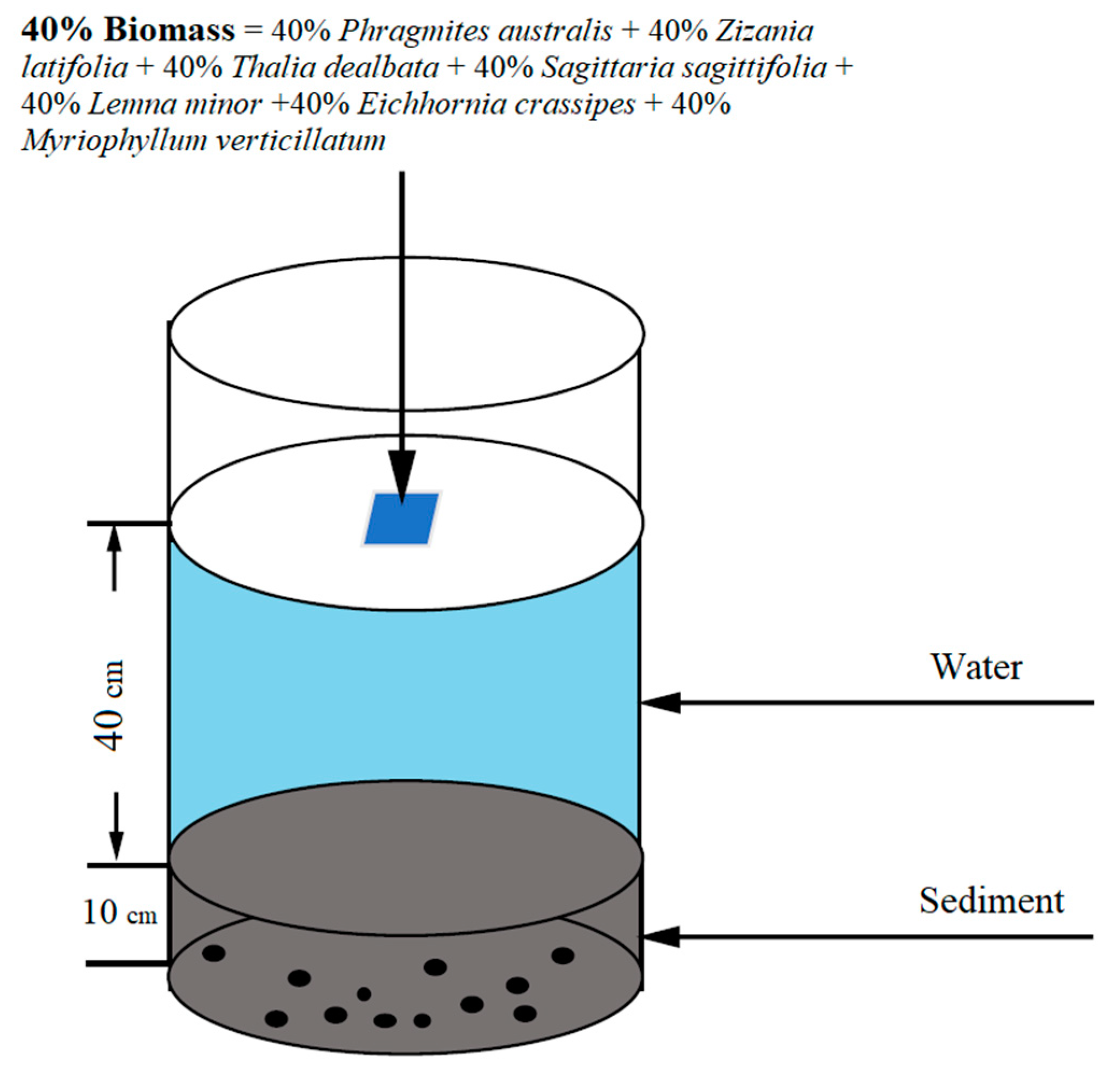 Determining the Optimal Biomass of Macrophytes during the Ecological ...