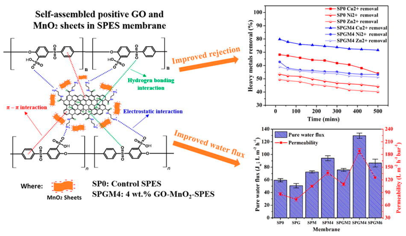 A Review on Promising Membrane Technology Approaches for Heavy Metal ...