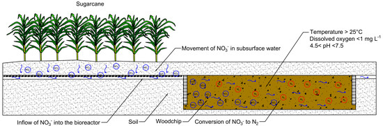 Water | Free Full-Text | Nitrate Removal Performance of Denitrifying ...
