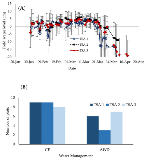Determinants in the Adoption of Alternate Wetting and Drying Technique ...