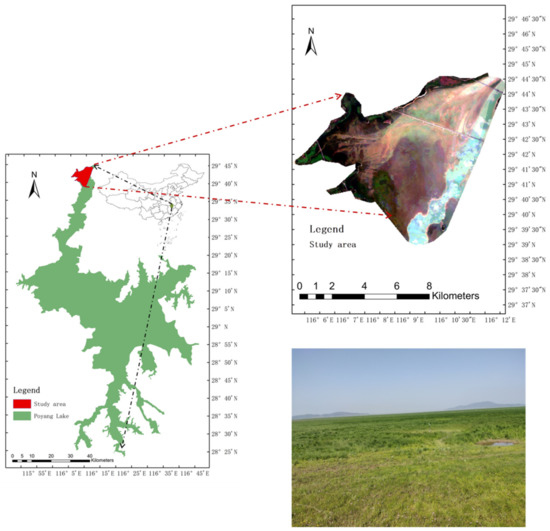 Landsat Observations of Two Decades of Wetland Changes in the Estuary ...