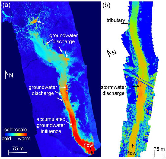 Exploring Local Riverbank Sediment Controls on the Occurrence of ...