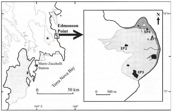 A First Glimpse on Cold-Adapted PCB-Oxidizing Bacteria in Edmonson ...