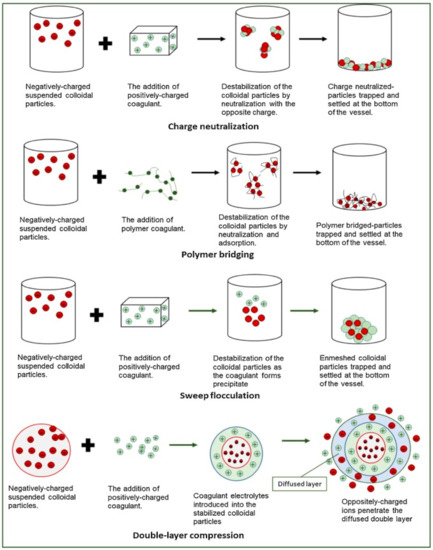 Application of Natural Coagulants for Pharmaceutical Removal from Water ...