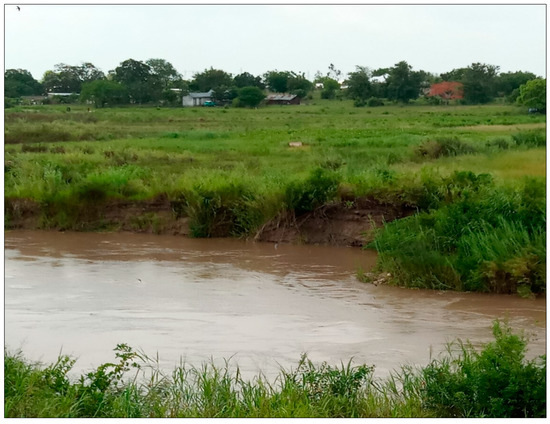 Hydrological Response of the Wami–Ruvu Basin to Land-Use and Land-Cover ...