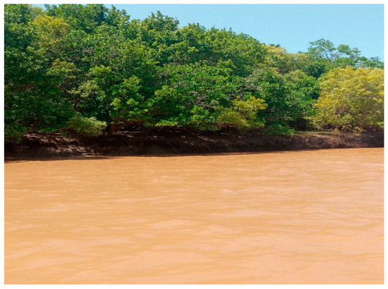 Hydrological Response of the Wami–Ruvu Basin to Land-Use and Land-Cover ...