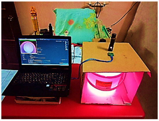 Underwater Fish Detection and Counting Using Mask Regional Convolutional Neural Network