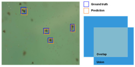 Underwater Fish Detection and Counting Using Mask Regional Convolutional Neural Network