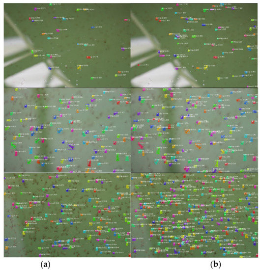 Underwater Fish Detection and Counting Using Mask Regional Convolutional Neural Network