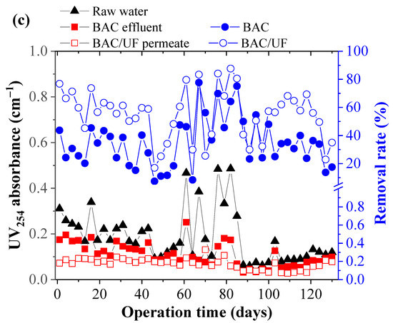 Pilot-Scale Biological Activated Carbon Filtration–Ultrafiltration ...