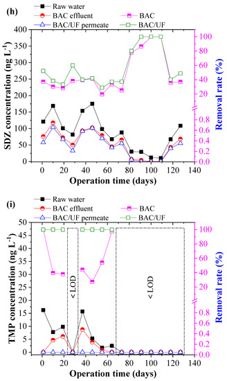Pilot-Scale Biological Activated Carbon Filtration–Ultrafiltration ...