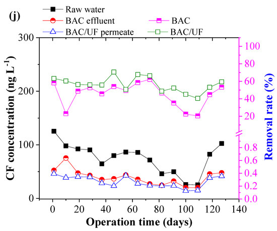 Pilot-Scale Biological Activated Carbon Filtration–Ultrafiltration ...
