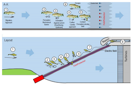 A Physical and Behavioral Barrier for Enhancing Fish Downstream ...