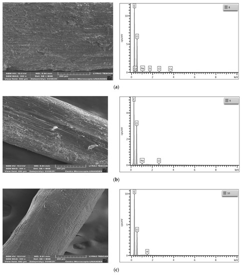 Evaluation of Three Biomaterials from Coconut Mesocarp for Use in Water ...