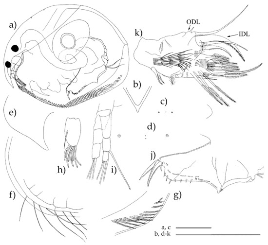 Multiple Recent Colonizations of the Australian Region by the Chydorus ...