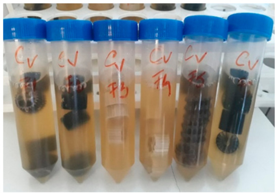 Water | Free Full-Text | Nutrients Removal from Aquaculture Wastewater ...