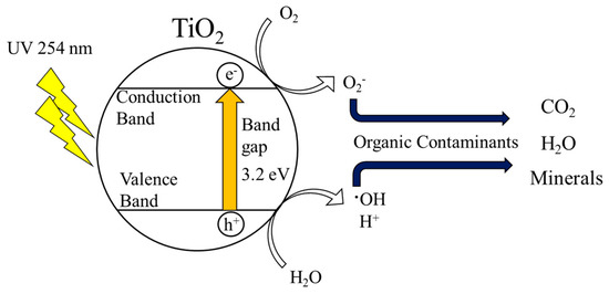 UV/TiO2 Photocatalysis as an Efficient Livestock Wastewater Quaternary ...