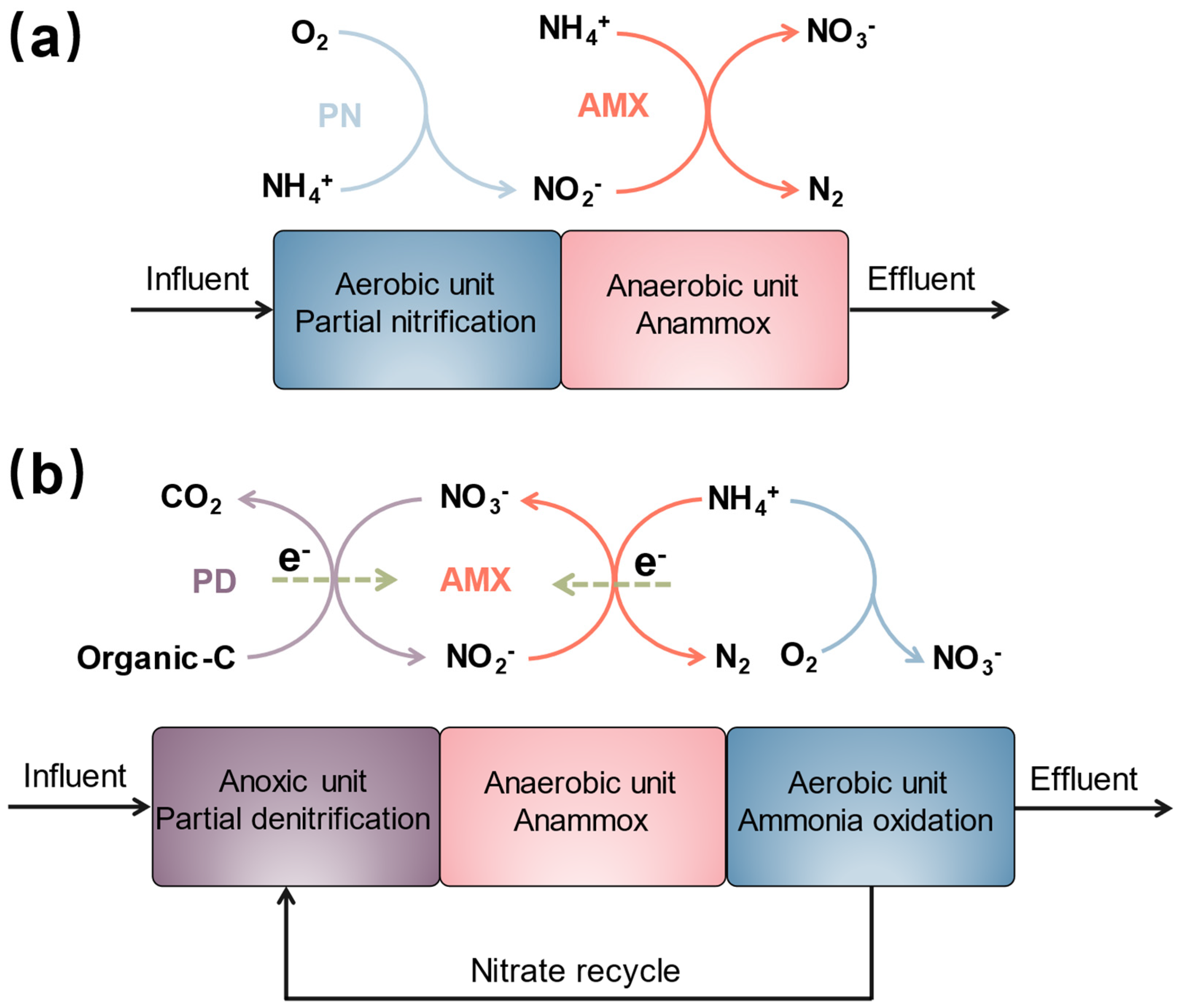 Recent Advances in Autotrophic Biological Nitrogen Removal for Low ...